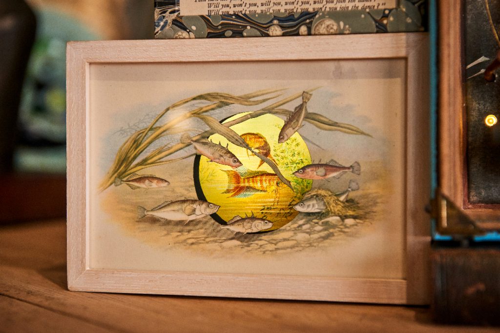 Fish Bowl Magic Lantern Light Box - Objet Trouvé